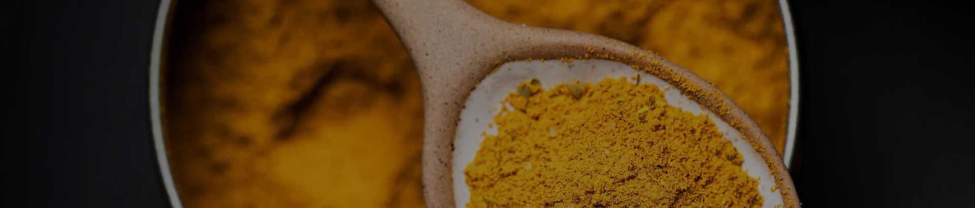 Single Spices Wholesale | Alveus